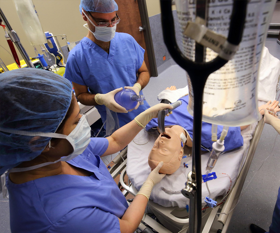 simulation - Université Mahmoud el Materi | Tunisie - جامعة محمود ...